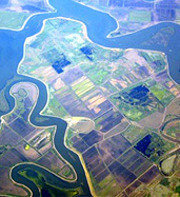 Petition · Help the Endangered Sacramento-San Joaquin River Delta ...