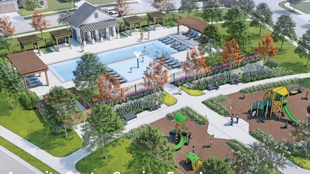 Petition · Petition for Delivery of Promised Community Amenities ...