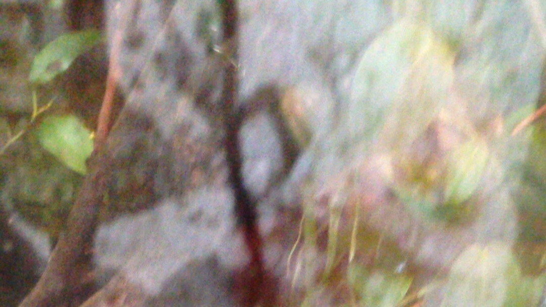 Petition · Hollis Queens Community needs affordable co-ops apartments ...