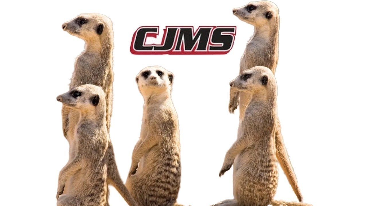 Petition · Change the CJMS Mascot From the Eagles to the Meerkats ...