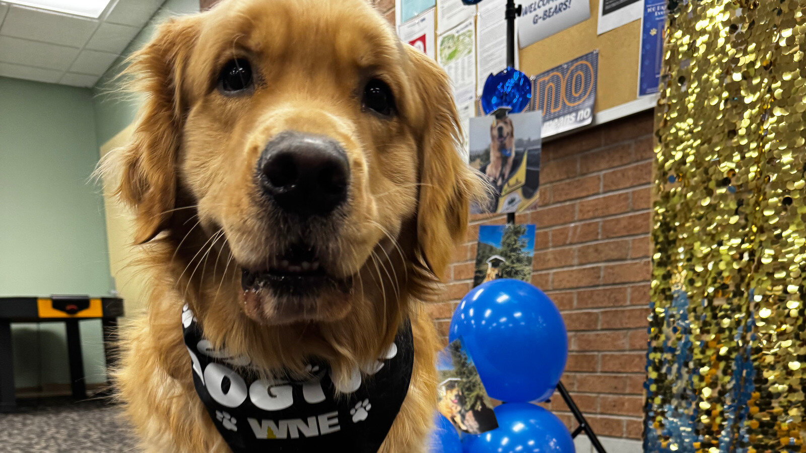 Petition update · Peacefult Protest Schedule for 3/26 on Deliso Lawn ...