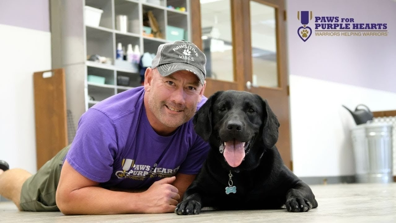 Petition · Support Veterans with PTSD, donate to Paws for Purple Hearts ...