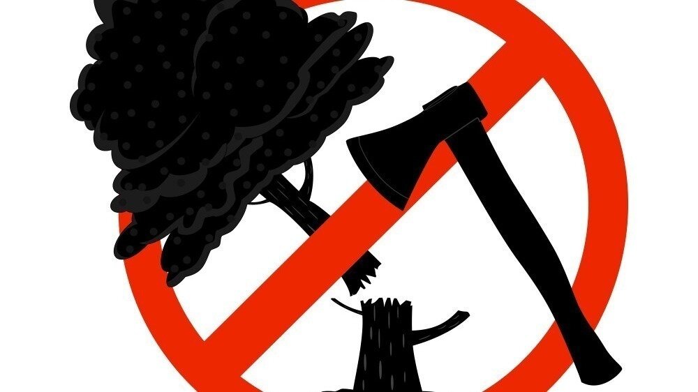 Petition · STOP DEFORESTATION - Philippines · Change.org