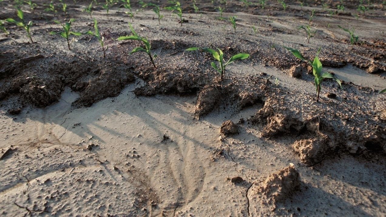 Petition · Demand laws requiring all farmers to farm sustainably - Why ...
