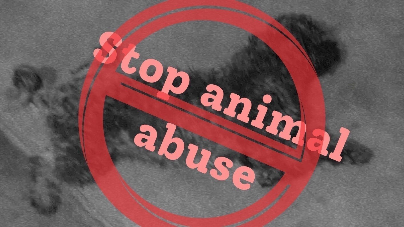 Petition · Stop Animal Abuse - Philippines · Change.org