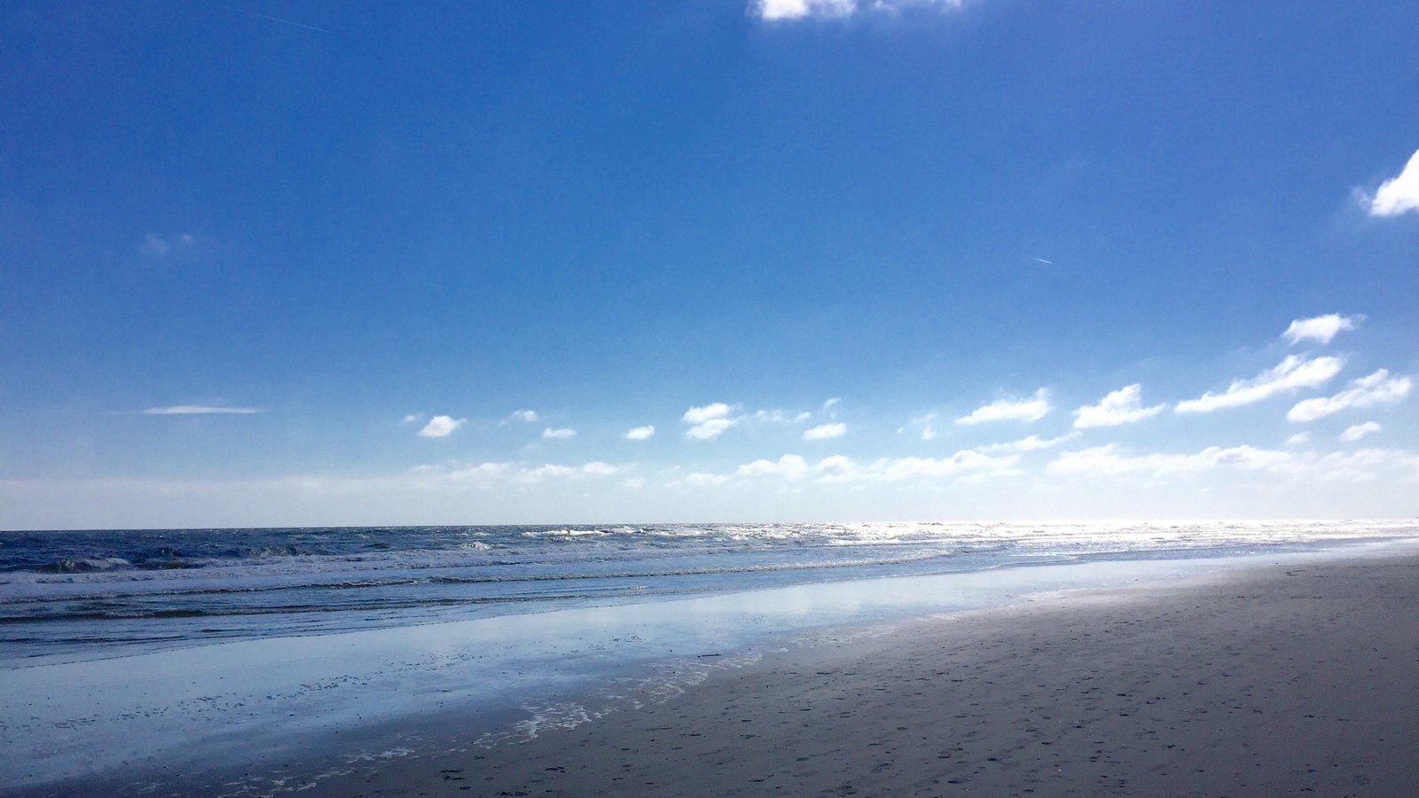 Petition · Duval County Beach Access (COVID-19) - United States ...