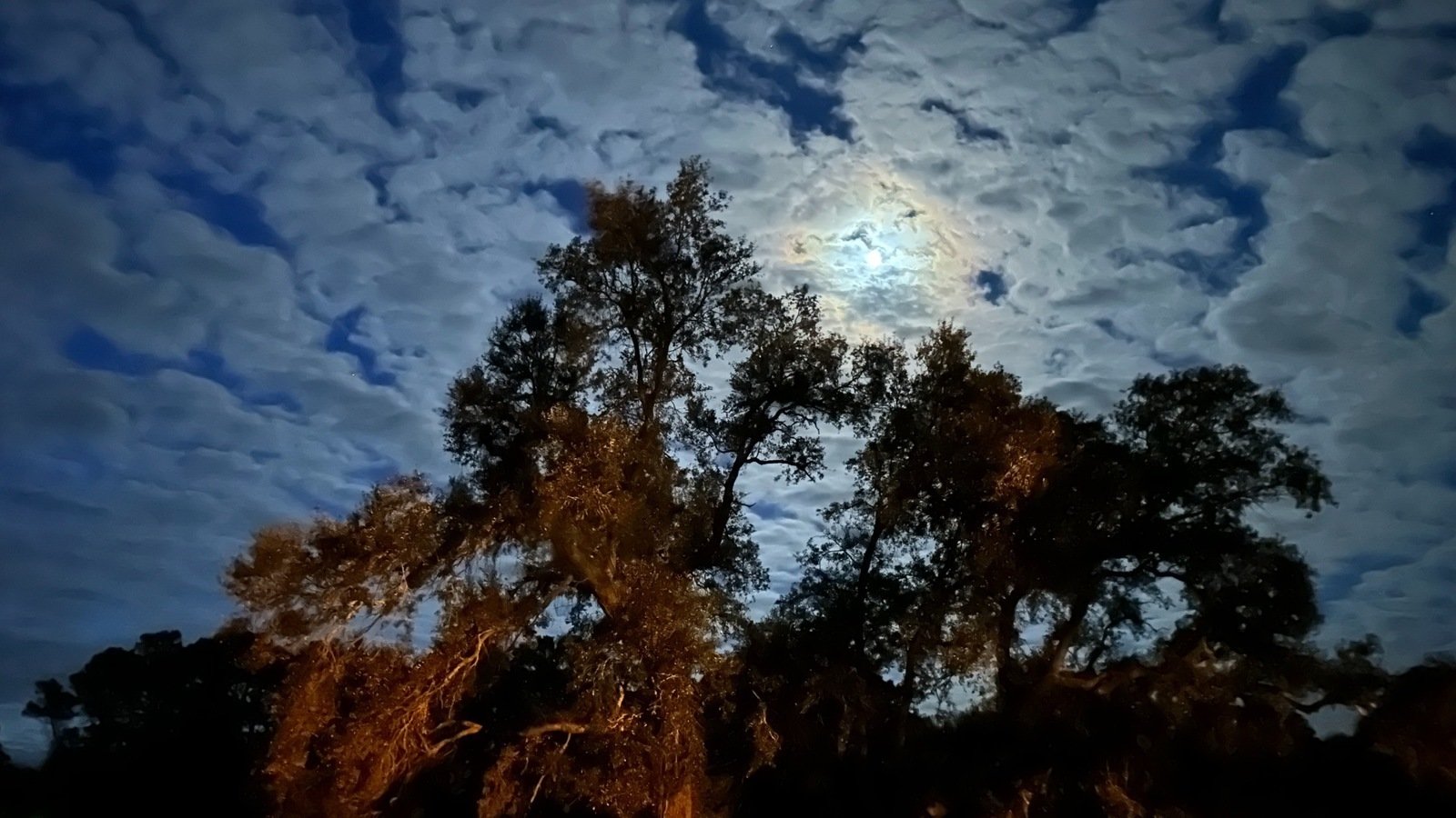 Petition update · Alert the Media! · Change.org · Change.org