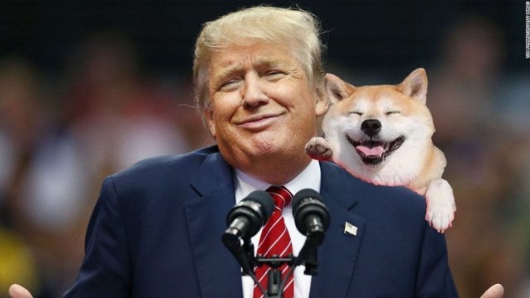 Petition · Donald J. Trump kindly support Shiba Inu Coin - United ...