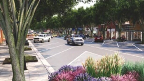 Petition · Support the Immediate Implementation of the Downtown ...