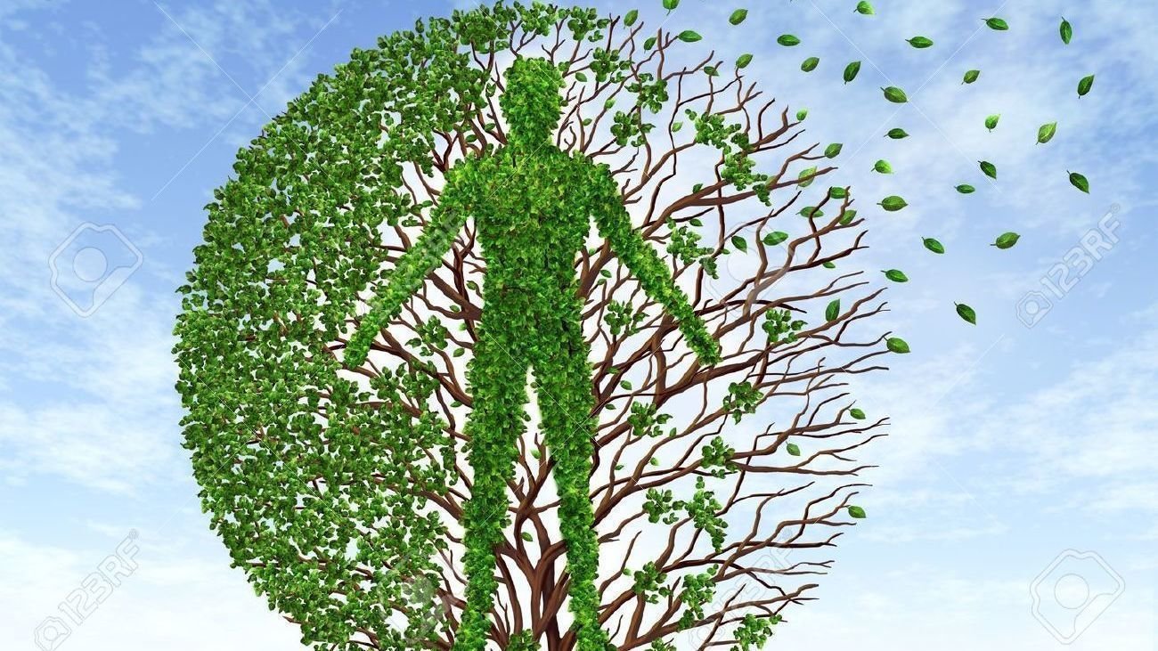 Petition · Leave Them Trees Alone - Bengaluru, India · Change.org