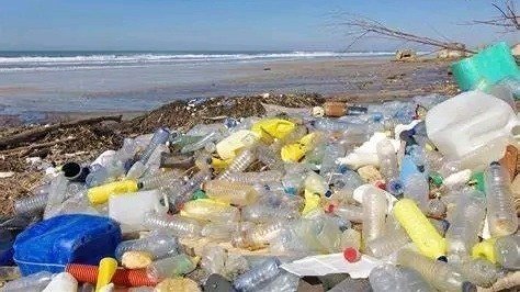 Petition · Ban Single-Use Plastics for a Sustainable Future ...