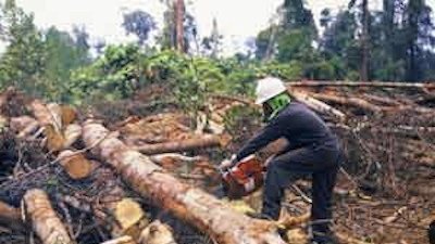 Petition · Stop illegal logging - Philippines · Change.org