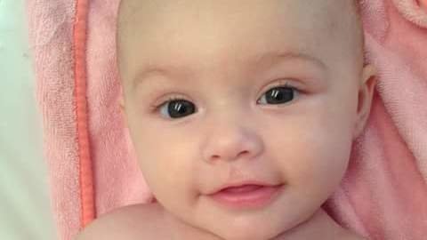 Petition · Pass Lola's Law in Florida - United States · Change.org