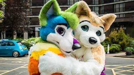 Petition · Turning Furries in to a Gender in Australia - Australia ...