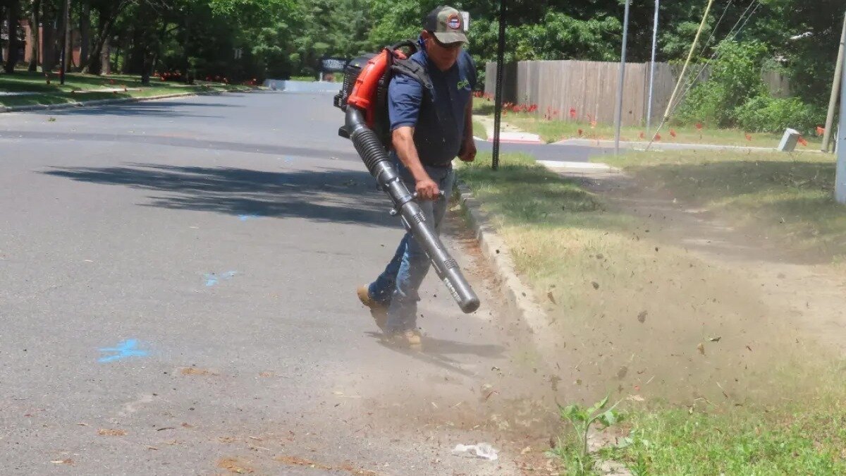 Petition · Stop Gas-Powered Leaf Blowers in North Park - Chicago ...