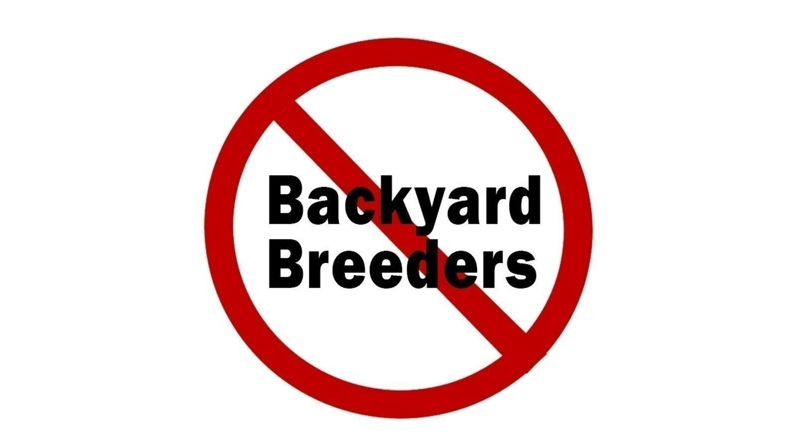 Petition · Implement Mandatory Health Checks for All Breeders and Ban ... Petition · Implement Mandatory Health Checks for All Breeders and Ban ...
