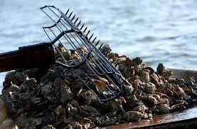 Petition Stop Fwc S Closing Apalachicola Bay Proposal United