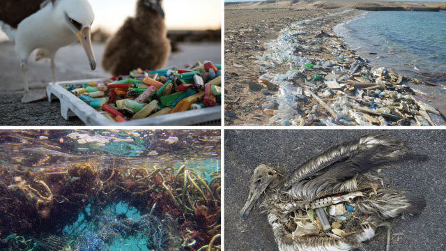 Petition · Stop using plastic water bottles - Canada · Change.org