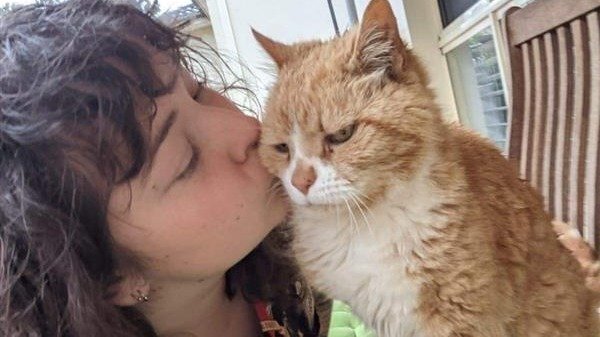 Petition update · Justice for Brandy was featured in the Daily Mail ...