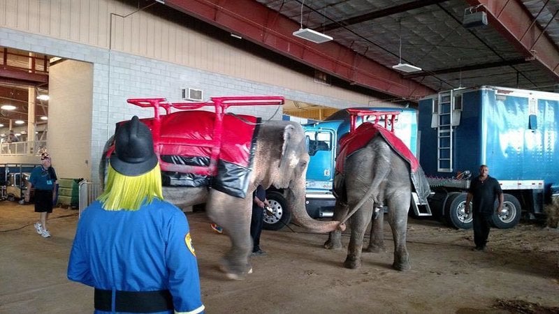 Petition · Tadmor Shrine Circus: Shriner's Circus Must Retire Their ... Petition · Tadmor Shrine Circus: Shriner's Circus Must Retire Their ...