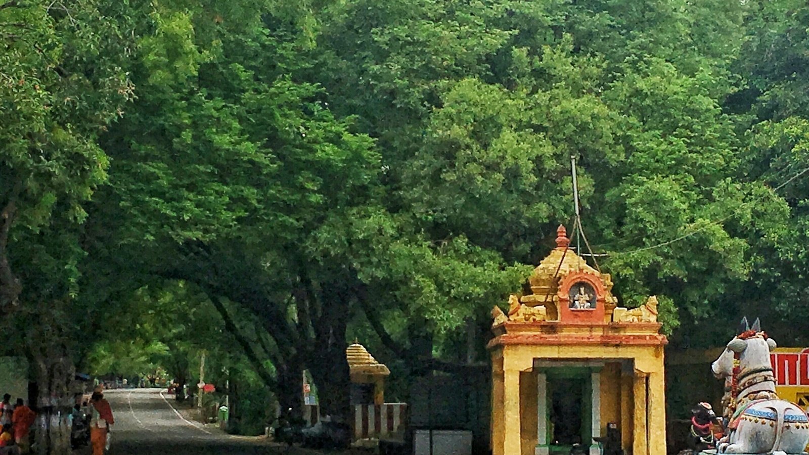 Petition · Please do not cut the trees on the Girivalam Path - India ...