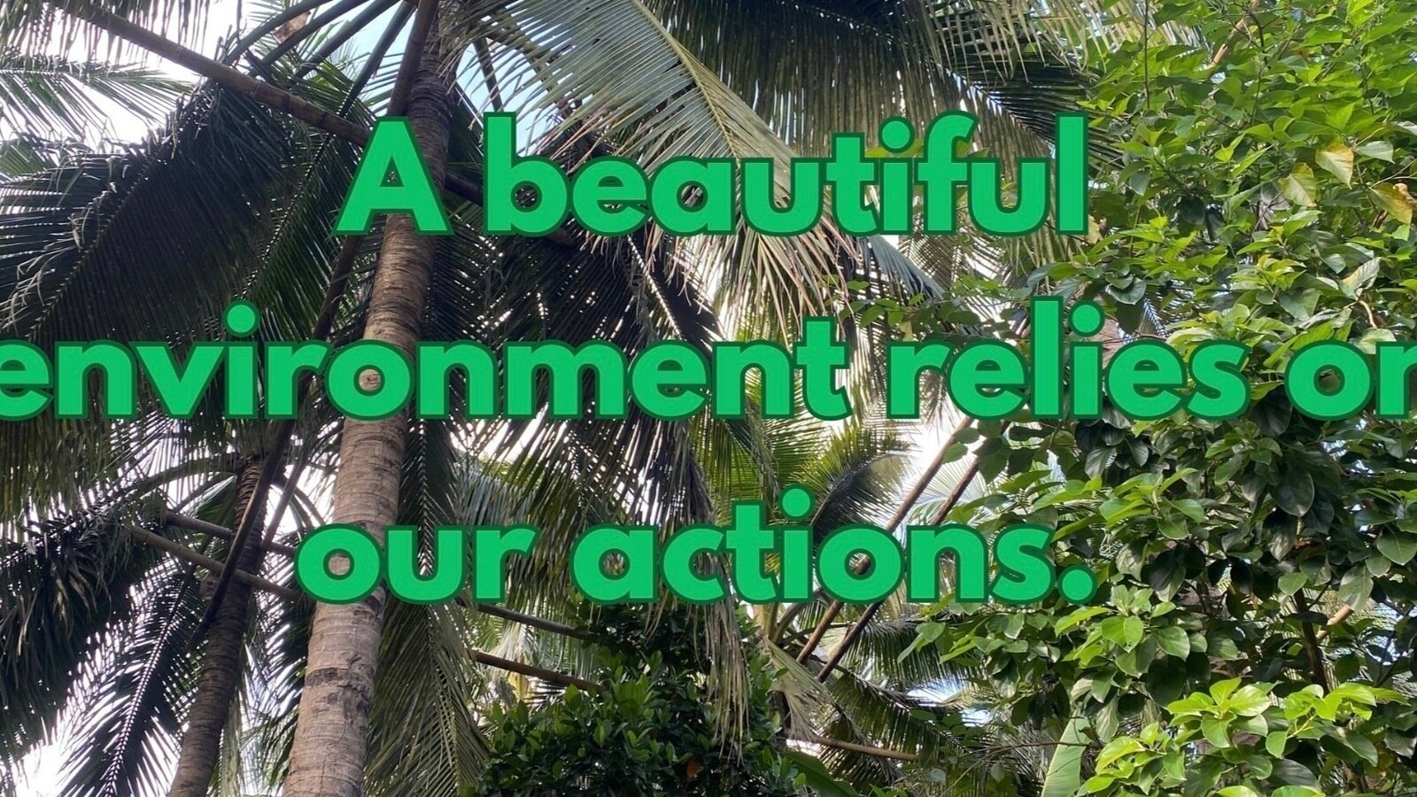 Petition · A beautiful. environment relies on our actions ...