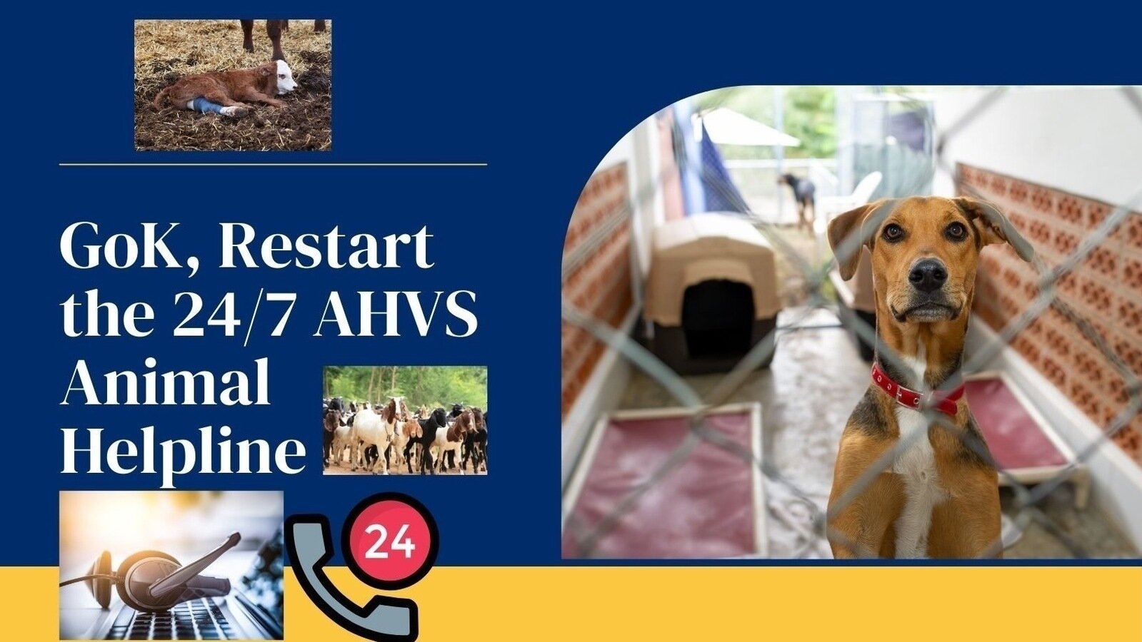 Petition · Restart the AHVS Helpline, AHVS & KAWB - India · Change.org