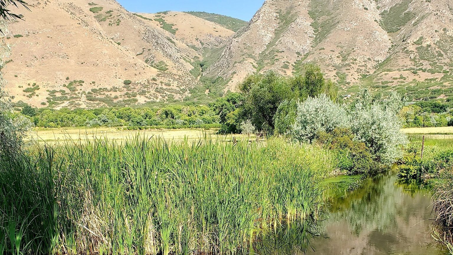 Petition · Help us protect Spring Lake, UT - United States · Change.org