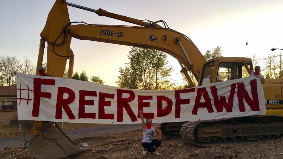 Petition · Free Red Fawn - United States · Change.org