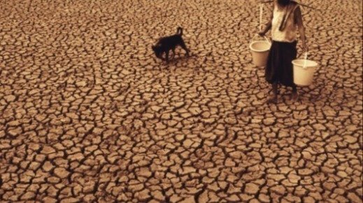 Petition · Stop Desertification: Take Action Now to Save Our Planet ...