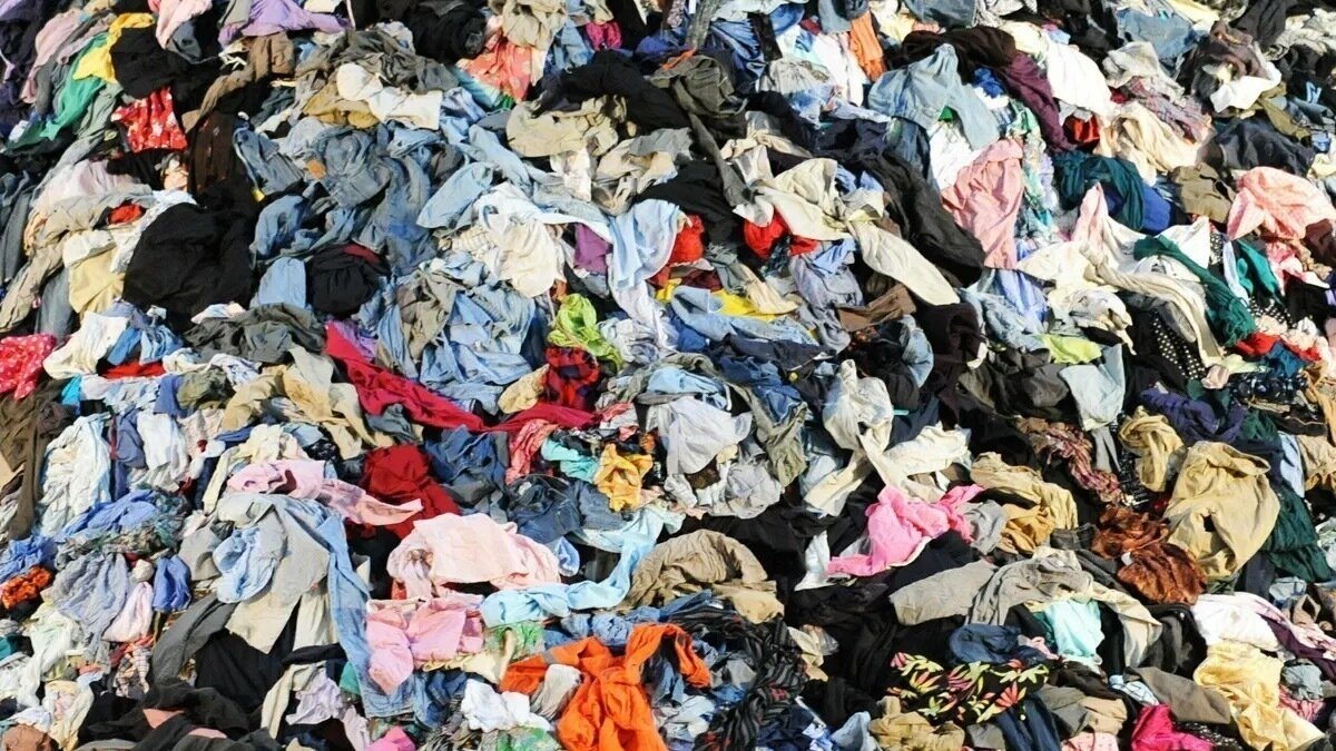 Petition · Start Conscious Disposal of Clothing - United States ...