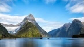 Petition · Vote of no confidence in the current NZ government ...