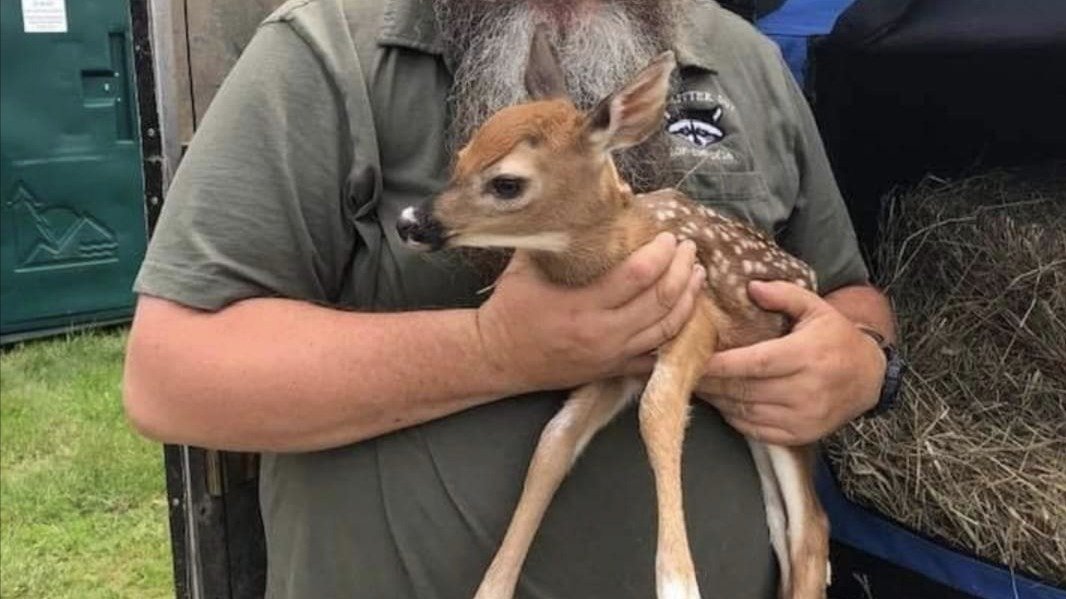 Petition · Please Reinstate Doug Alley "The Critter Guy" As a Licensed ...