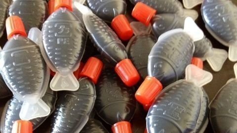 Petition · Let's Ban Plastic Soy Fish - Australia · Change.org