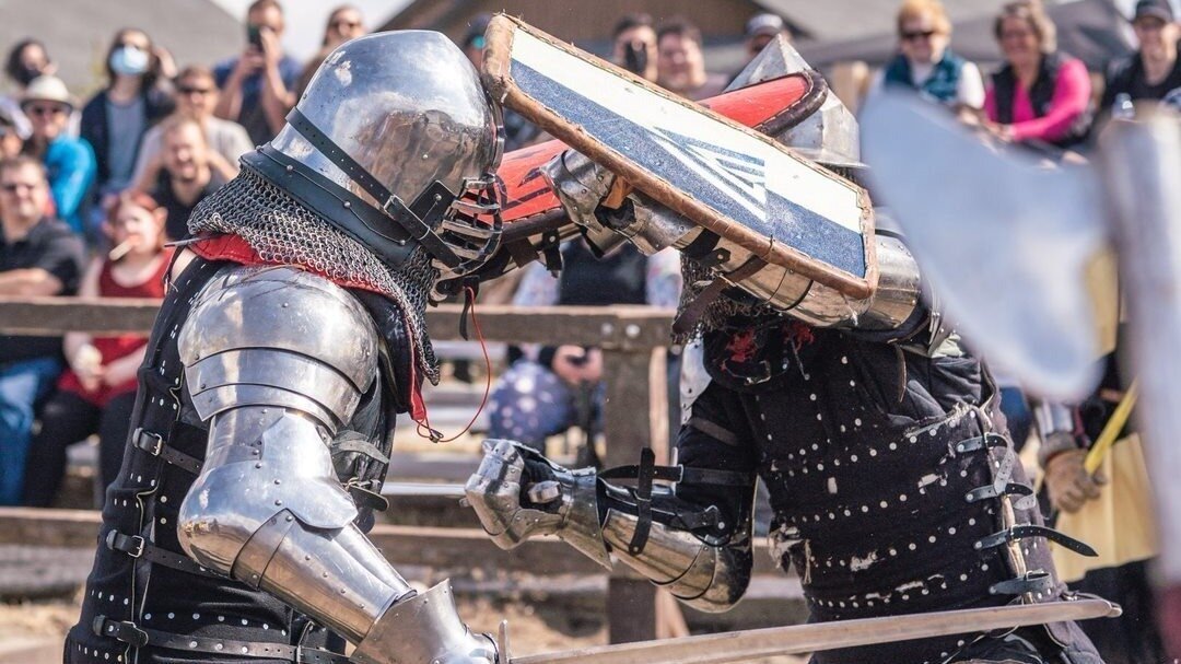 Petition · Petition to Legalize Medieval Dueling and Jousting as a ...