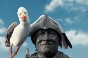 Petition · Bring Back Stephen The Seagull · Change.org