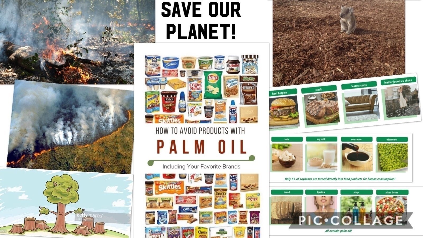 Petition · I want to get 100 signatures to help stop deforestation ...