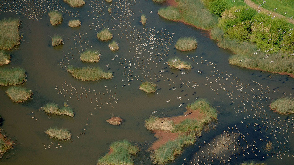 Petition · Tell EPA: New Bay-Delta Water Quality Standards Urgently ...
