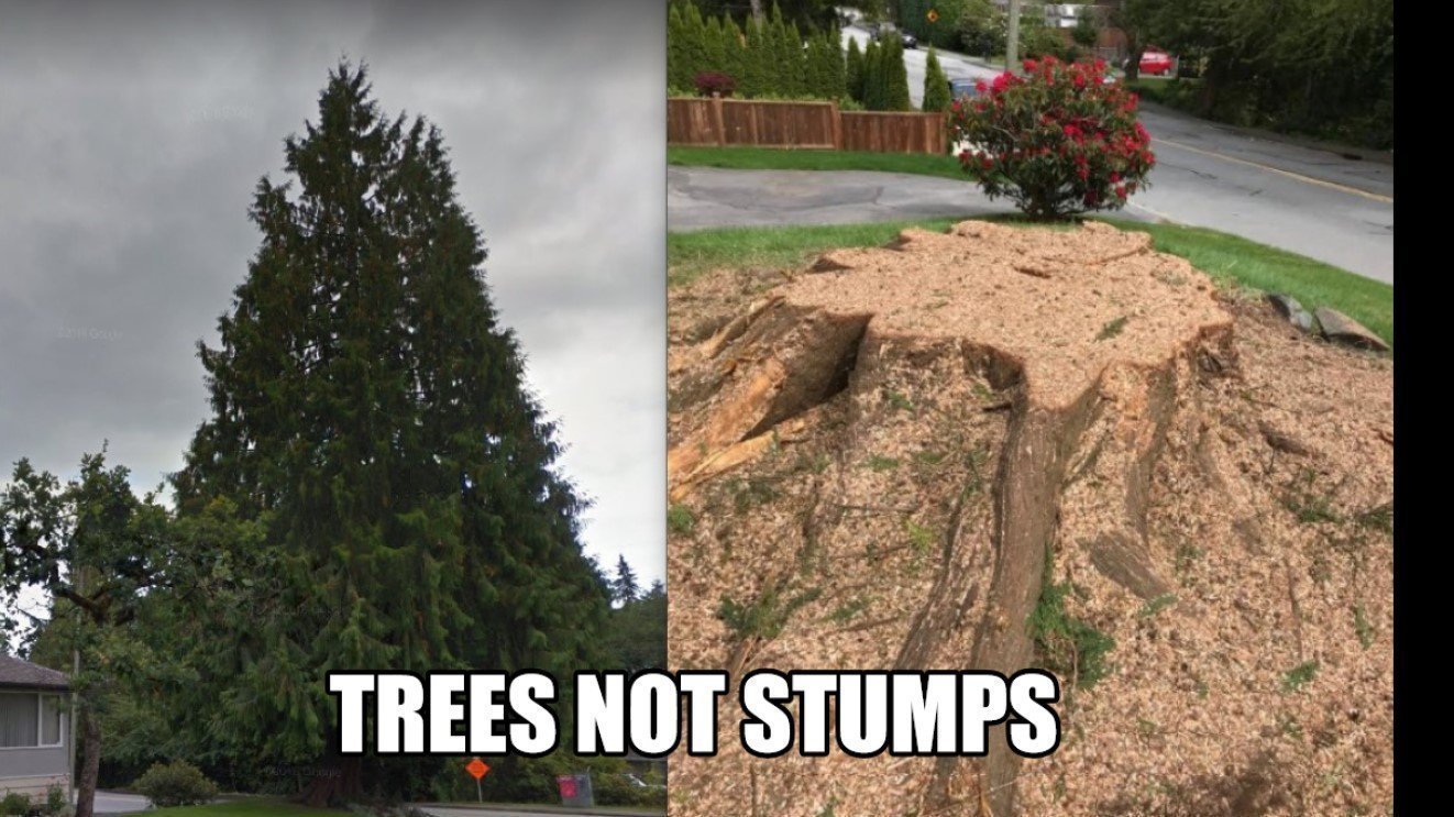 Petition · The DNV Is Losing Trees! - North Vancouver, Canada · Change.org