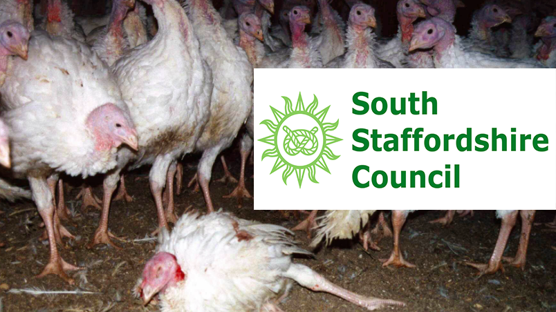 Petition · Take Action against cruel Turkey Farm plans for ...