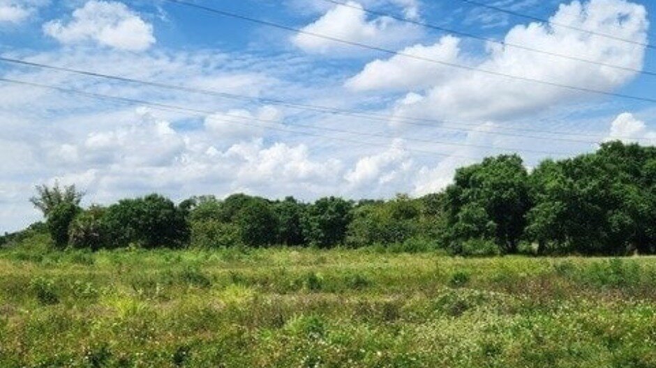 Petition update · Final Update: Details on How Each Elected Official ...