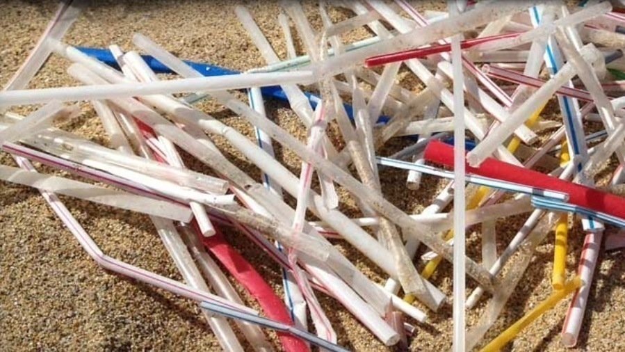 Petition · Stop the waste of plastic straws - United Kingdom · Change.org