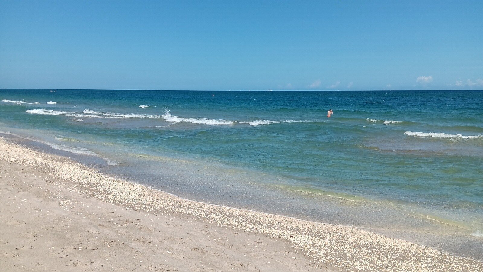 Petition · Ban "Jupiter Beach Dancing "@#55 During Sea Turtle Nesting ...