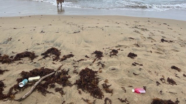 Petition · FINE FOR LITTERING IN RINCON!!!! - Puerto Rico · Change.org
