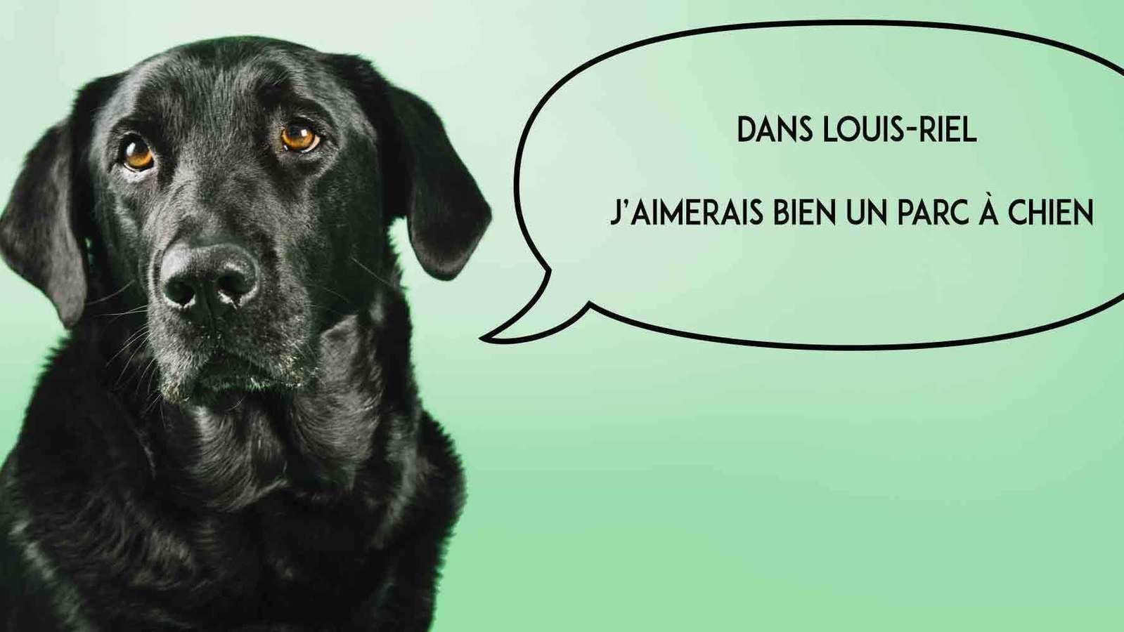 Pétition · Pétition officielle pour un parc à chien dans le secteur ...