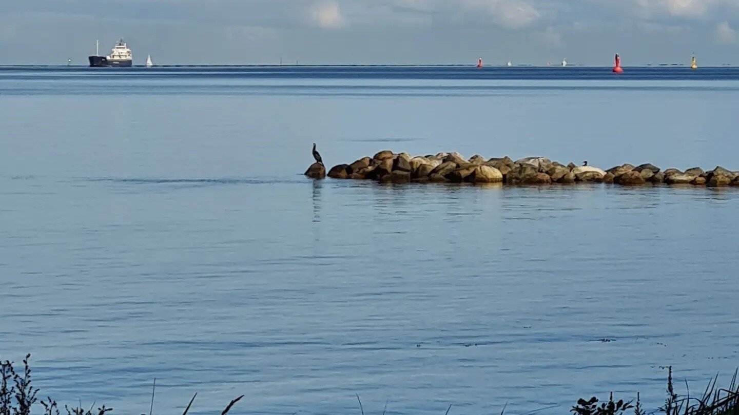 Petition · Reformieren Sie die allgemeine Schulpflicht in Deutschland ...