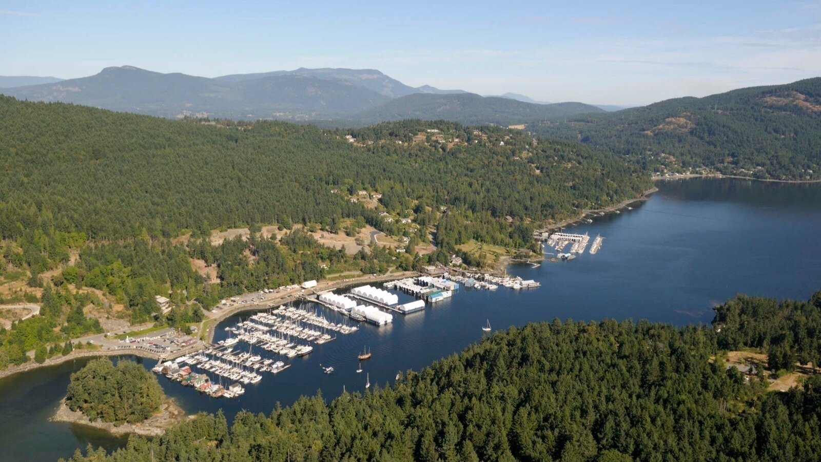 Petition · Reinstate Harbour Air Service in Maple Bay - Canada · Change.org