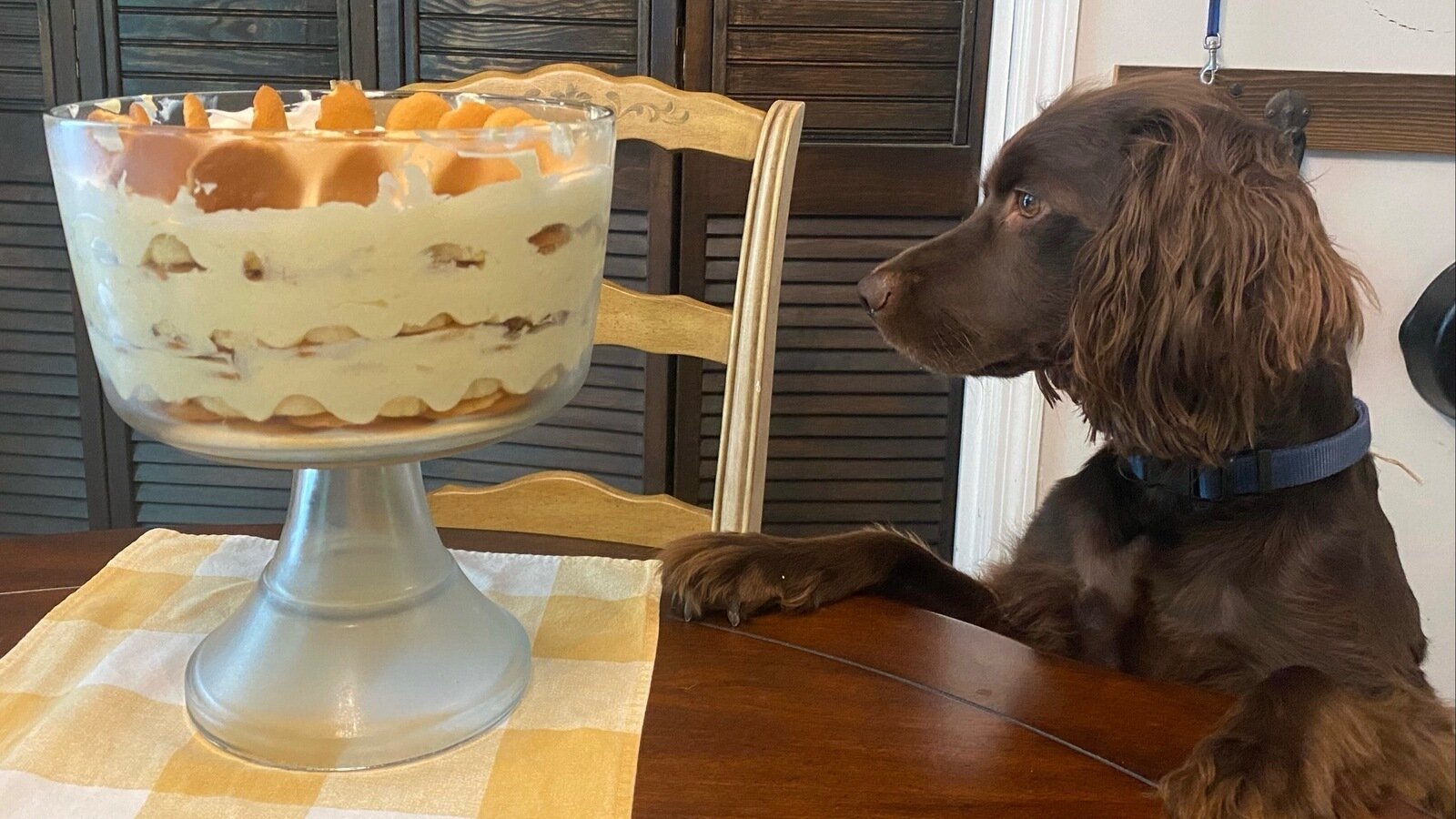 Petition · Make Banana Pudding the Official State Dessert of South ...