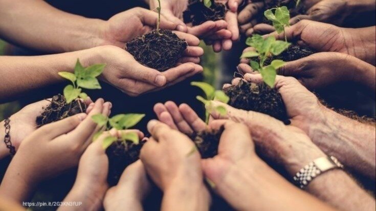 Petition · "Mandating a Tree-Planting Program for a Greener and ...