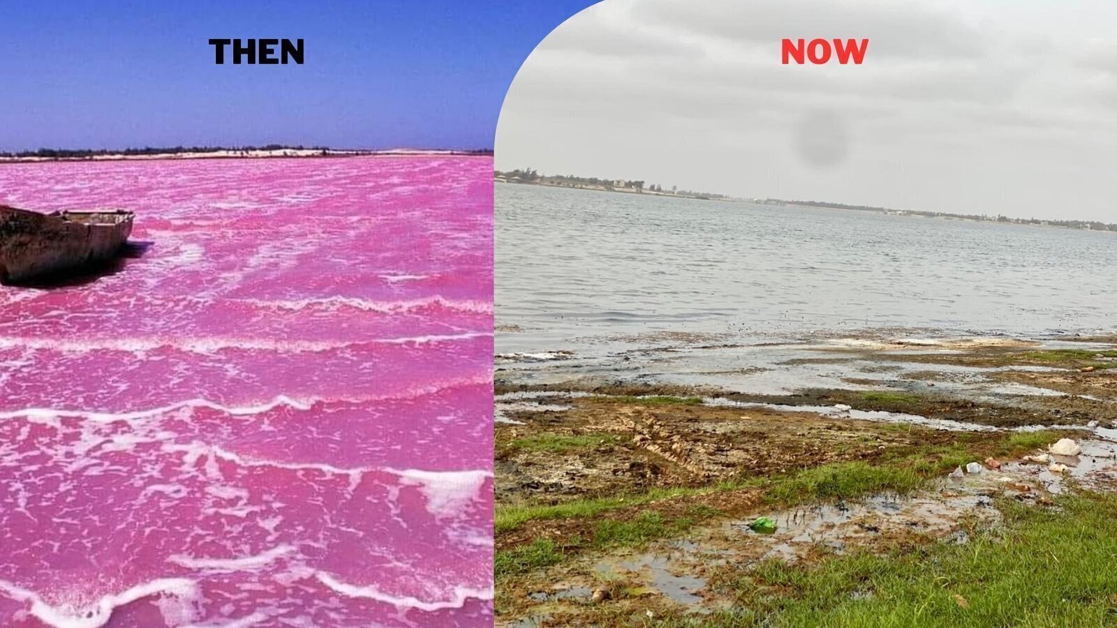 Petition · Urgent Action Needed to Save Senegal's Pink Lake, Lake Retba ... Petition · Urgent Action Needed to Save Senegal's Pink Lake, Lake Retba ...